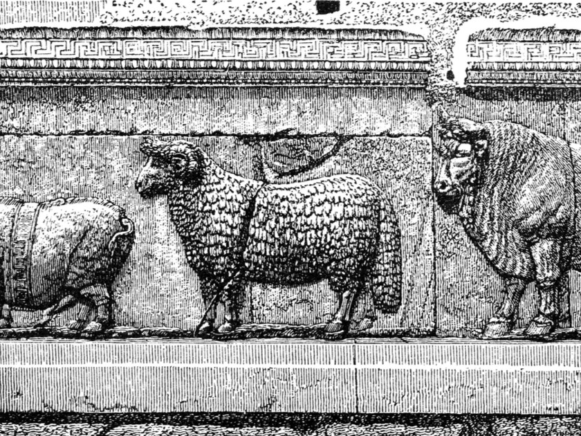 Past, Present, and Future - British Wool