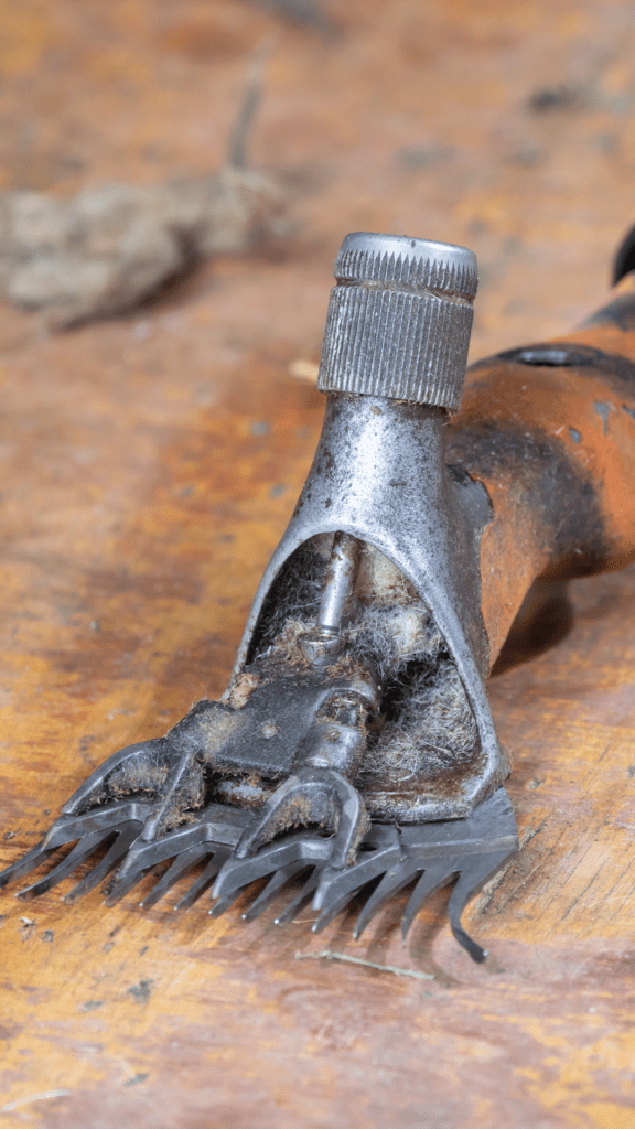 Key Details for our Shearing Courses - British Wool